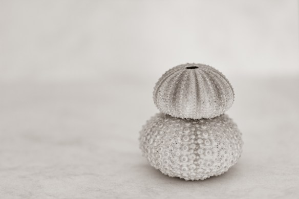 The Power of Minimalist Photography | Mandy Frielinghaus Photography